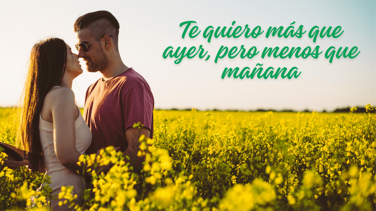 Te quiero más que ayer, pero menos que mañana: Origen, Historia y ...